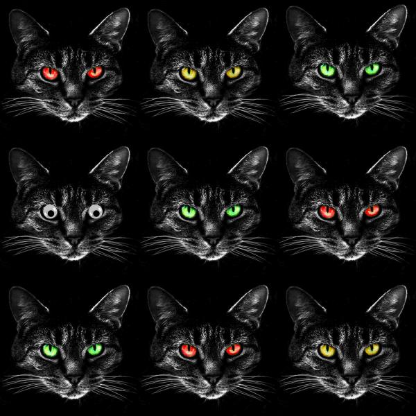 Gallery | Points Of View Artists of Brunswick, Maine